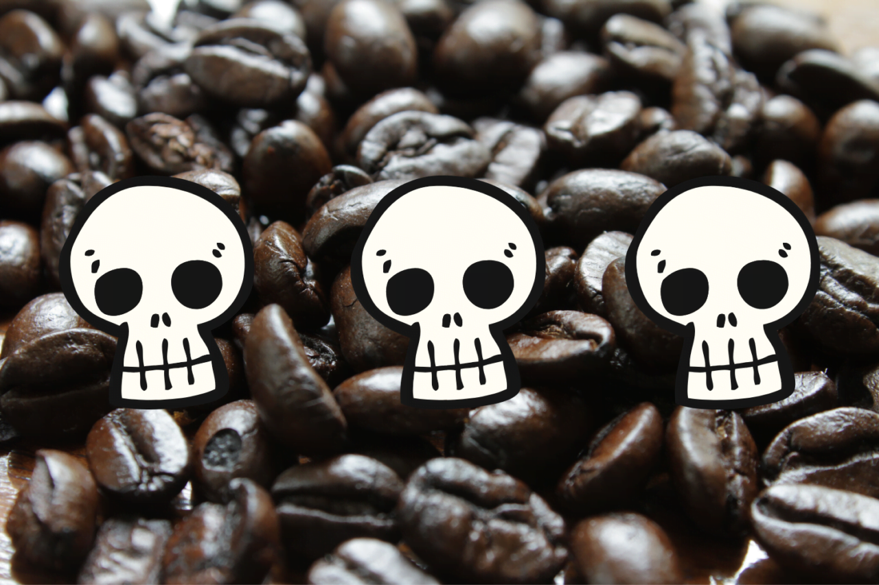 The Best Espresso Beans In 2024: Top Coffee Picks Of A Barista ...